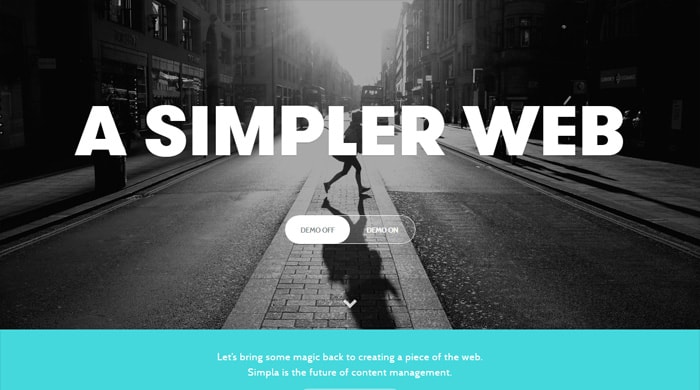 Sean King | Design Shack