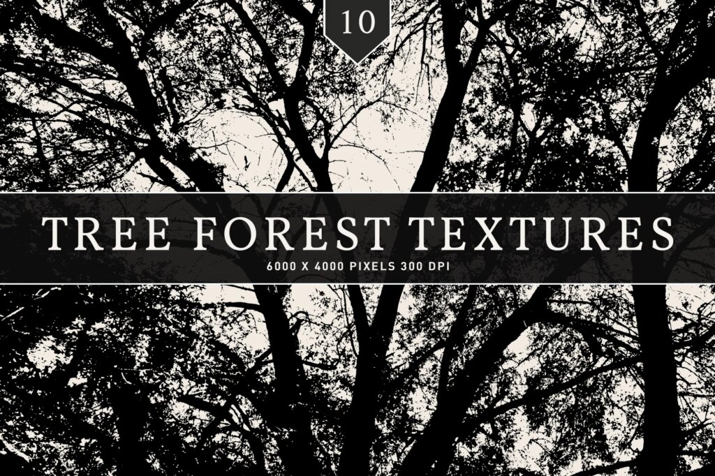 20+ Best Jungle & Forest Textures, Patterns & Backgrounds | Design Shack