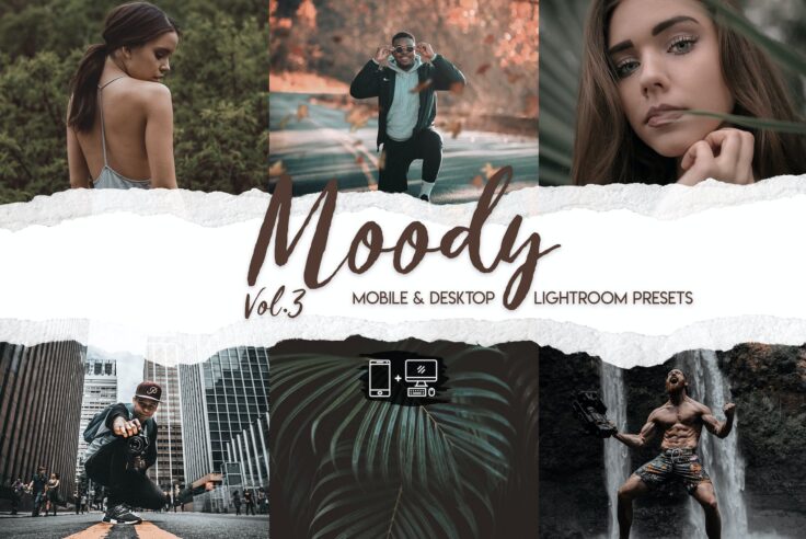 25+ Best Moody Lightroom Presets for Photographers | Design Shack