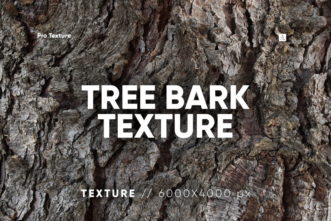 20+ Best Jungle & Forest Textures, Patterns & Backgrounds | Design Shack