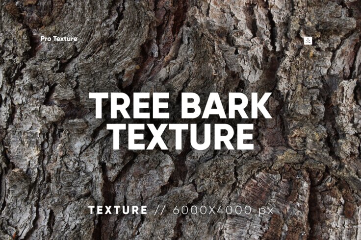 20+ Best Jungle & Forest Textures, Patterns & Backgrounds | Design Shack