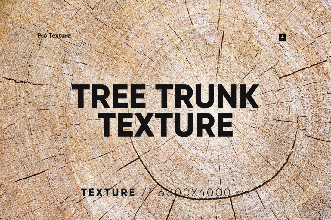 20+ Best Jungle & Forest Textures, Patterns & Backgrounds | Design Shack