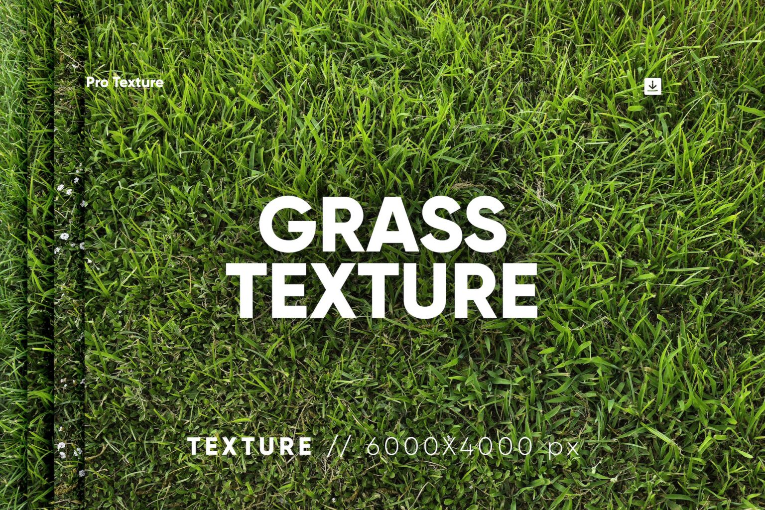 15+ Grass Photoshop Brushes, Textures & Patterns | Design Shack