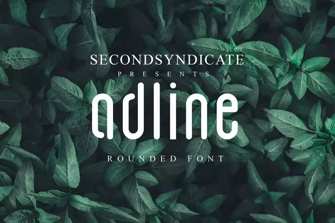 Adline Font | Design Shack