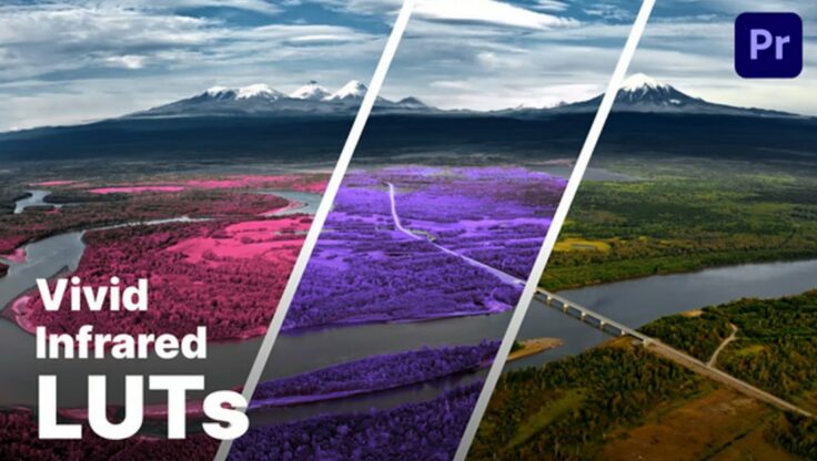 25+ Best Color Grading Presets for Premiere Pro | Design Shack