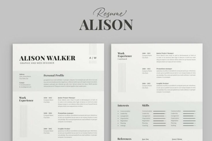30+ Best InDesign Resume Templates (INDD CV Templates)