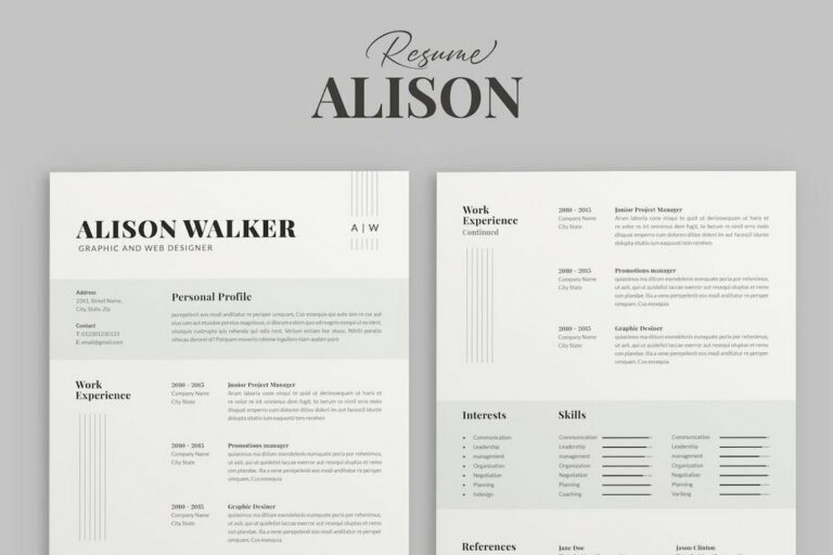 30+ Best InDesign Resume Templates (INDD CV Templates) | Design Shack