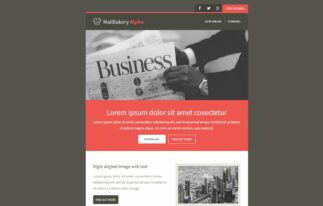15+ Best Business Newsletter Templates (For Internal Employee ...