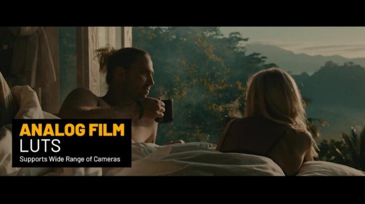 20+ Best Film LUTs (Film Look for DaVinci, Premiere Pro & More)