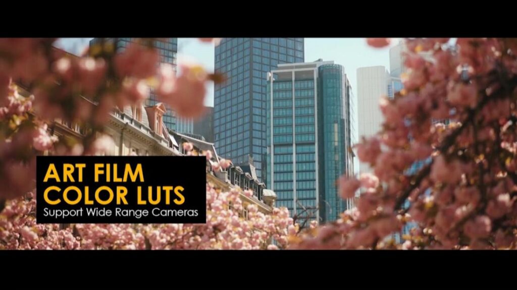 20+ Best Film LUTs (Film Look for DaVinci, Premiere Pro & More)