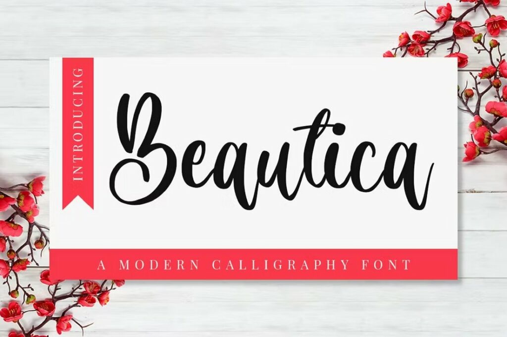 25+ Best Curvy Fonts in 2025 (Free & Pro) | Design Shack