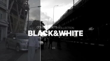 20+ Best Color Grading Presets for Premiere Pro