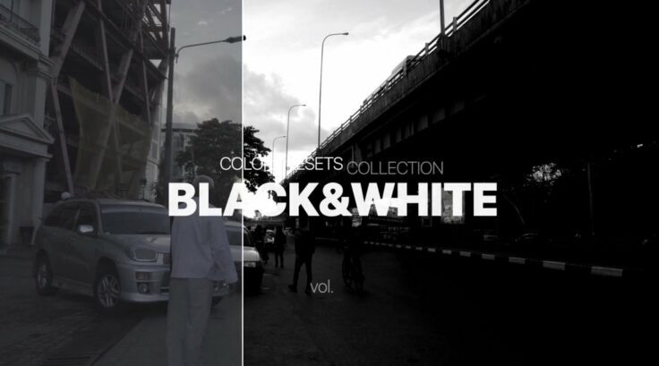 20+ Best Color Grading Presets for Premiere Pro | Design Shack