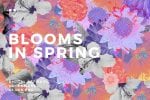 25+ Best Floral & Flower Background Textures 2021 | Design Shack