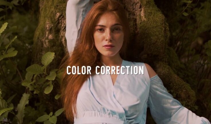 20+ Best Color Grading Presets for Premiere Pro | Design Shack