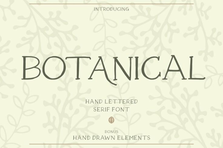 35+ Best Earthy & Nature Fonts 2025 | Design Shack