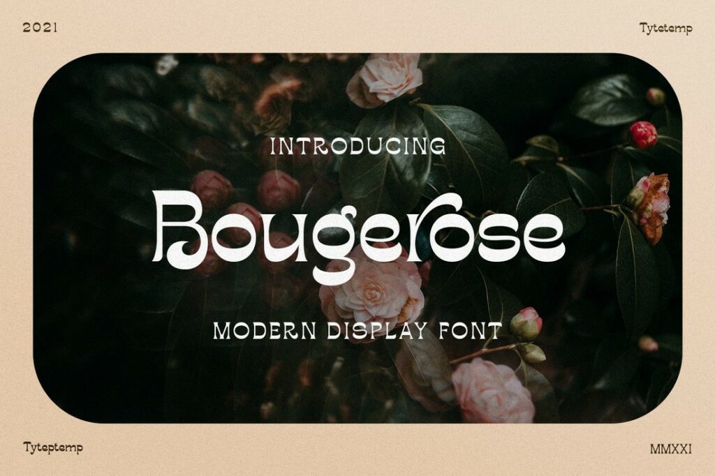 25+ Stylish Chic & Feminine Fonts for 2024 | Design Shack