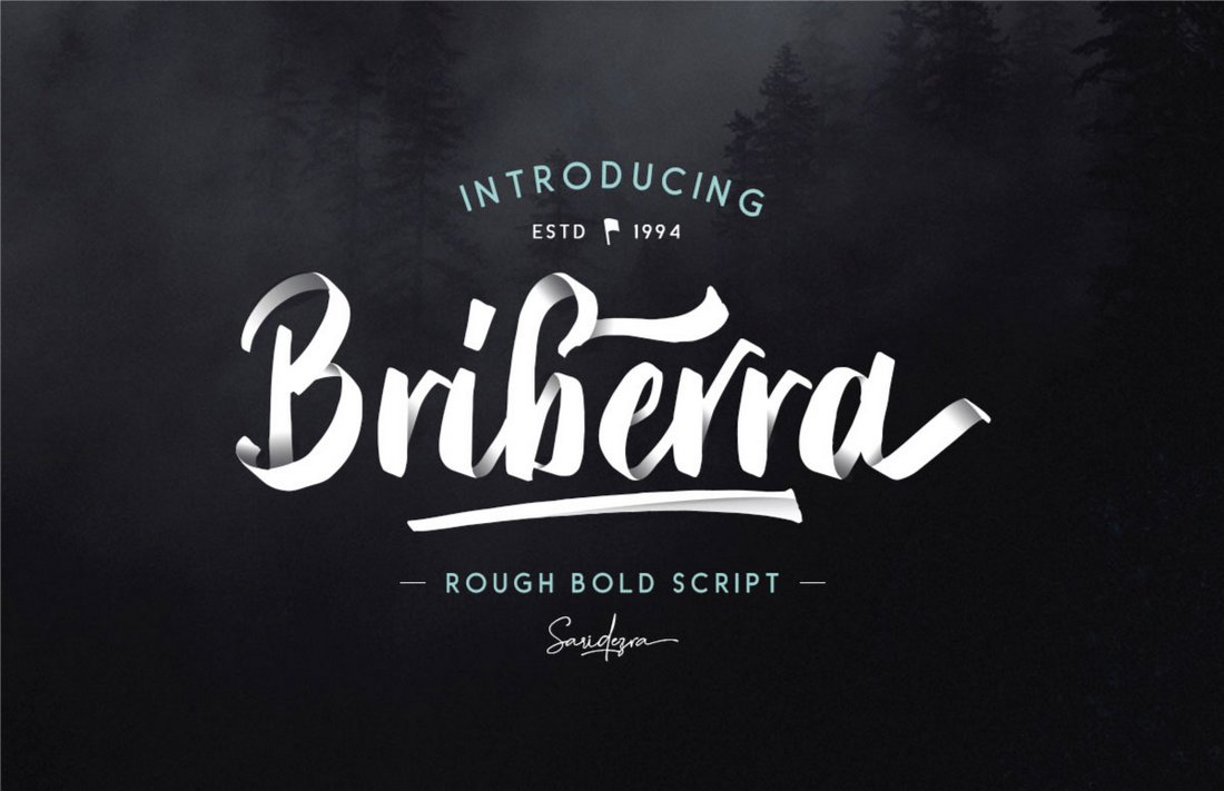 40 Bold Free Script Fonts 2021 Design Shack