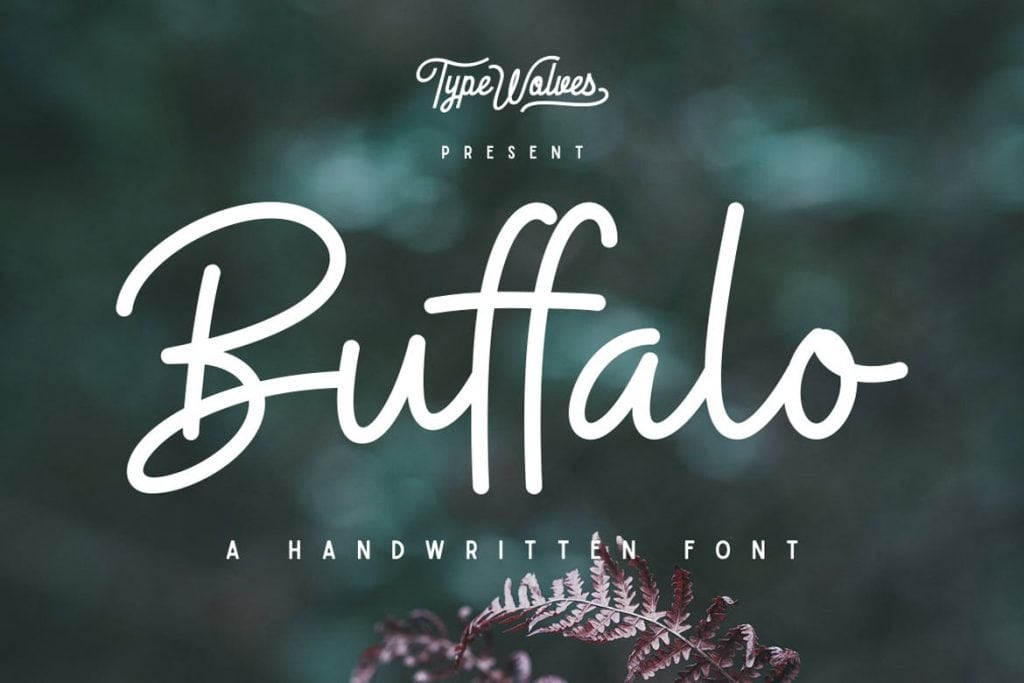 60+ Bold & Free Script Fonts 2025 | Design Shack