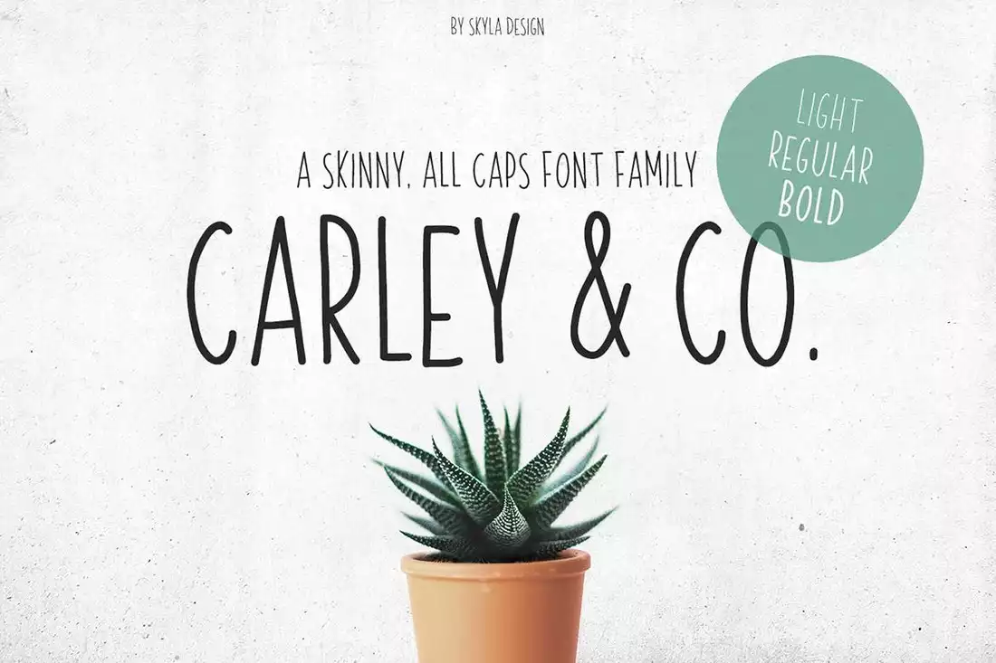Carley & Co Skinny Font Family | Design Shack