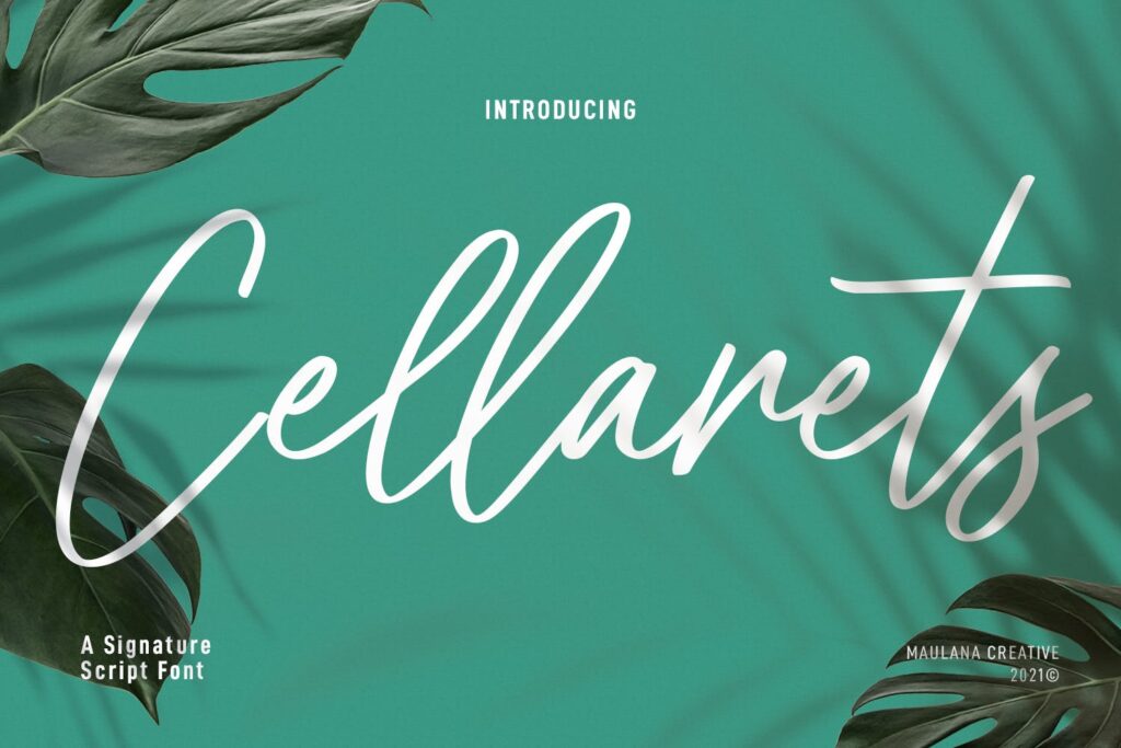 100+ Beautiful Script, Brush & Calligraphy Fonts 2023 | Design Shack