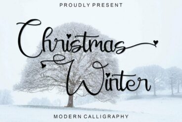 30+ Best Winter, Ice & Snow Fonts (Free & Pro) | Design Shack
