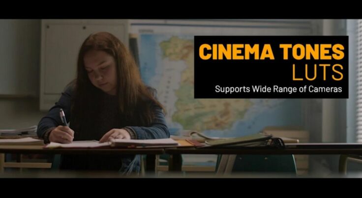 20+ LUT Sinematik Terbaik (Untuk Tampilan Film & Sinema) - desainae.com