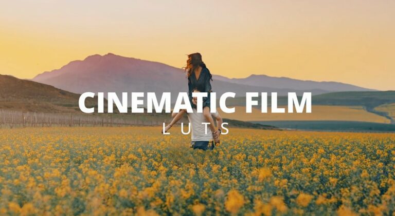 20+ Best Cinematic Color Grading Presets (For DaVinci, Premiere + More ...