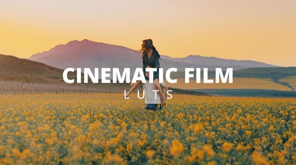 20+ Best Film LUTs (Film Look for DaVinci, Premiere Pro & More ...