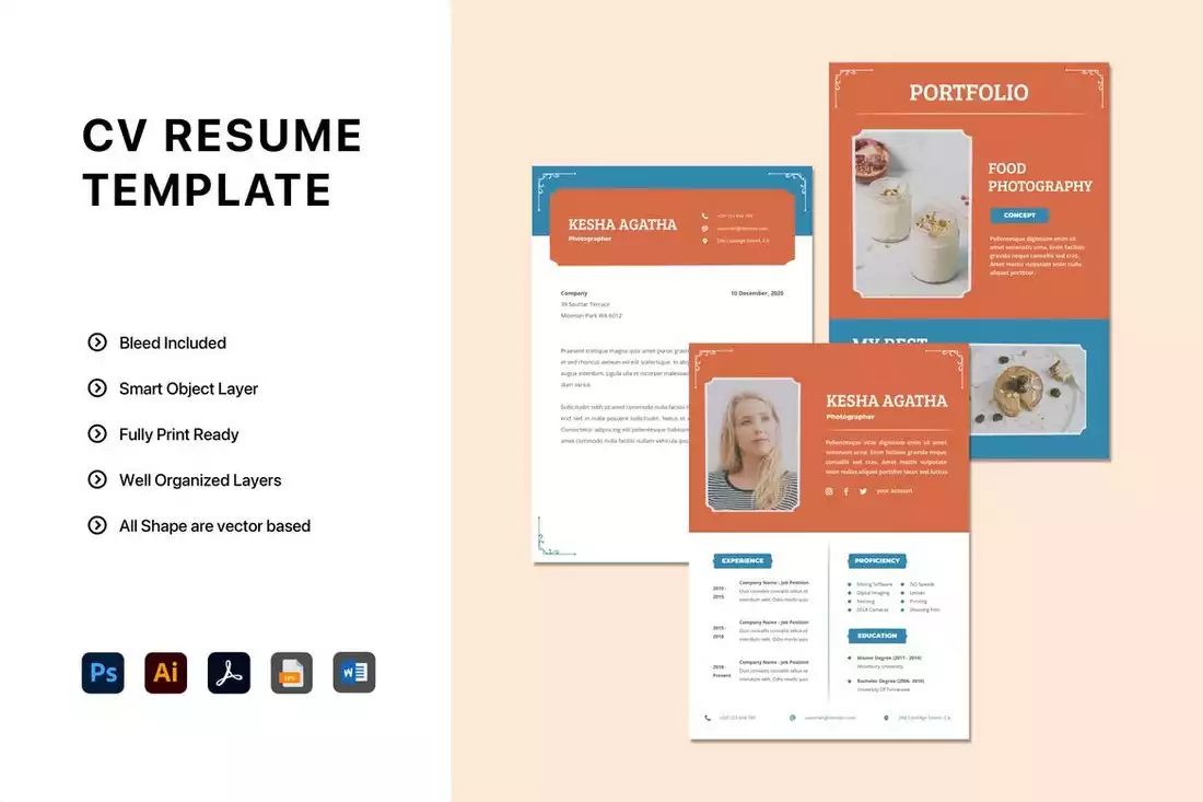Classic MS Word CV Resume Template | Design Shack