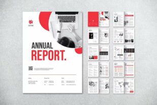 20+ Best Professional Business Report Templates (Word, PPT, InDesign ...
