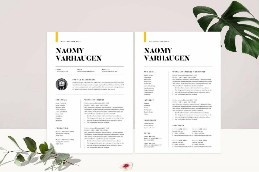 30+ Best InDesign Resume Templates (INDD CV Templates) | Design Shack
