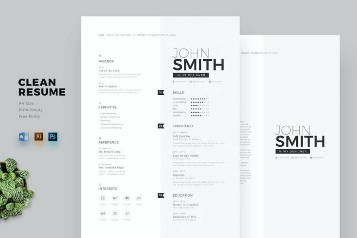 20+ Best Photoshop Resume & CV Templates (PSD Resume Templates ...