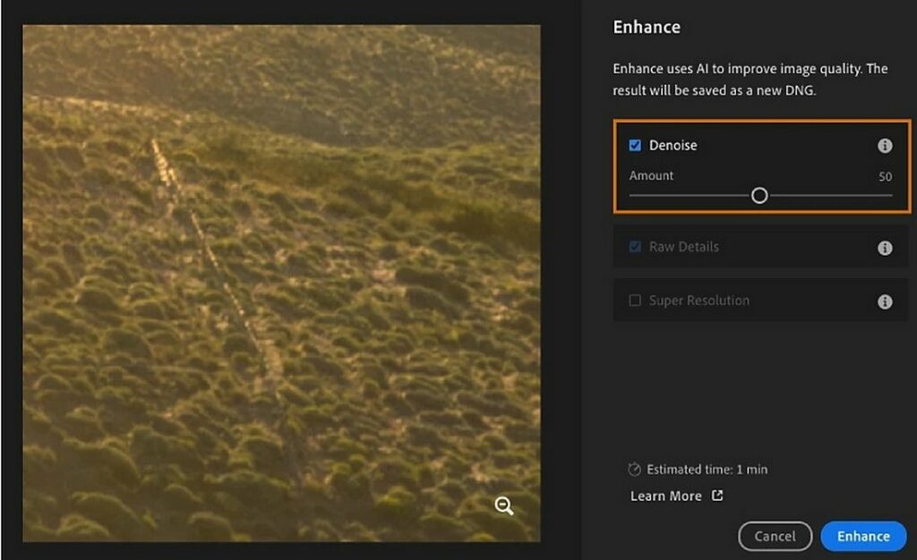 How to Use AI in Lightroom: Tips, Tools & Techniques | Design Shack