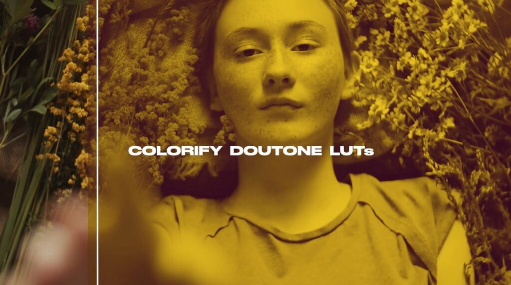 20+ Best Color Grading Presets for Premiere Pro | Design Shack