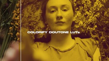 25+ Best Color Grading Presets for Premiere Pro | Design Shack
