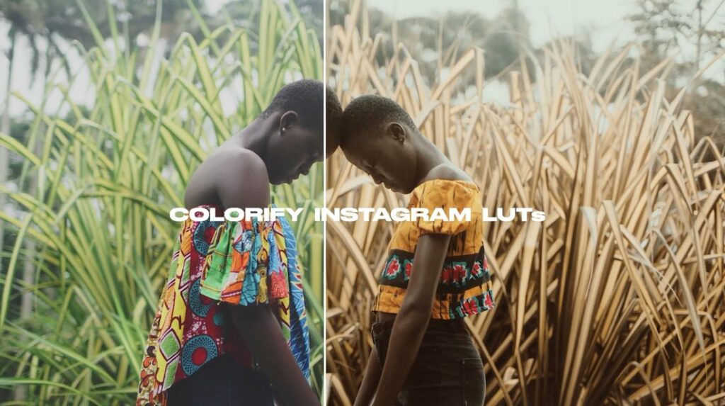 20+ Best Color Grading Presets for Premiere Pro | Design Shack