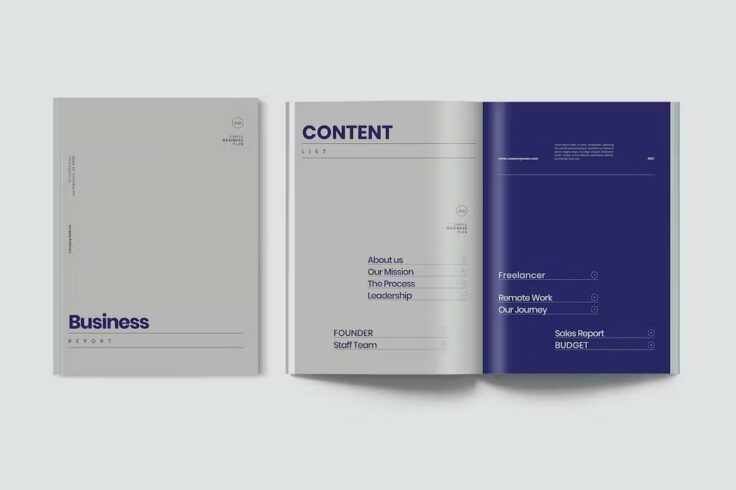 20+ Best Professional Business Report Templates (Word, PPT, InDesign ...