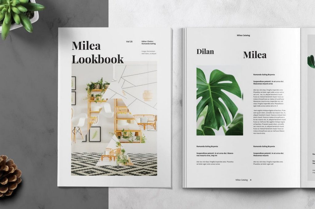 30+ Best Lookbook & Catalog Templates (Free & Premium) – Yes Web Designs