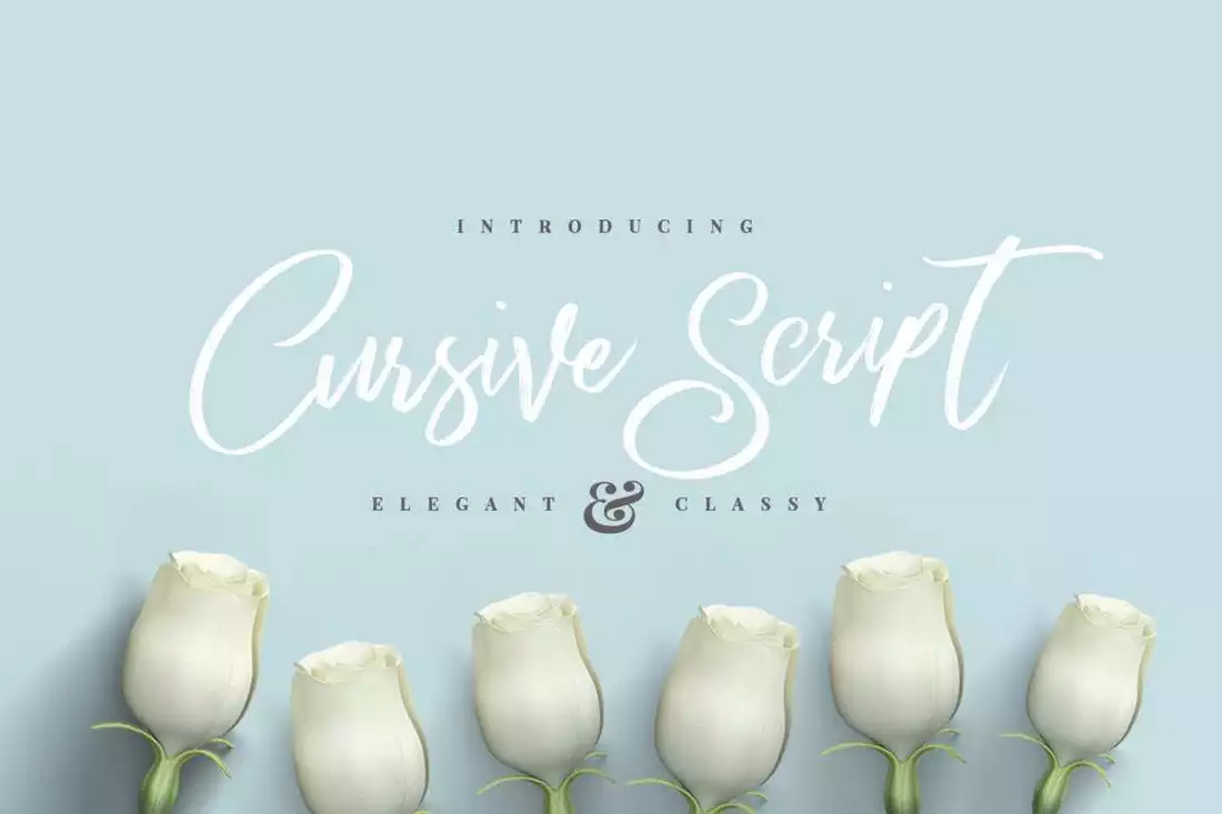 Elegant Cursive Brush Script Font | Design Shack