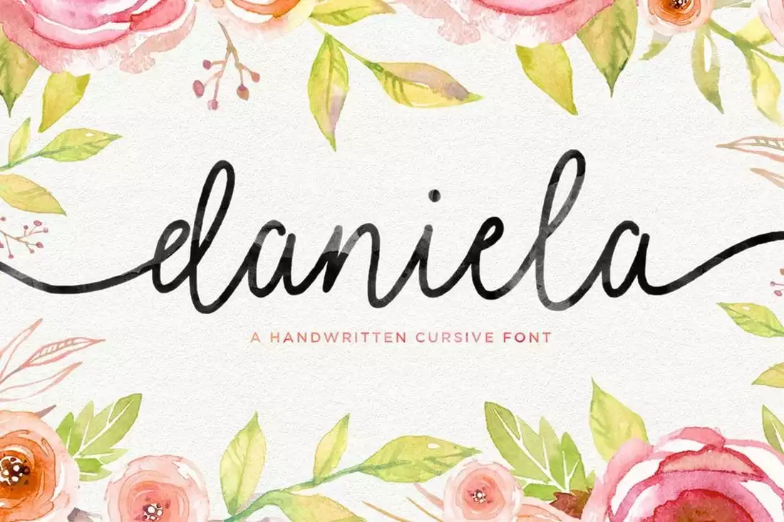 Daniela Script Cursive Font | Design Shack