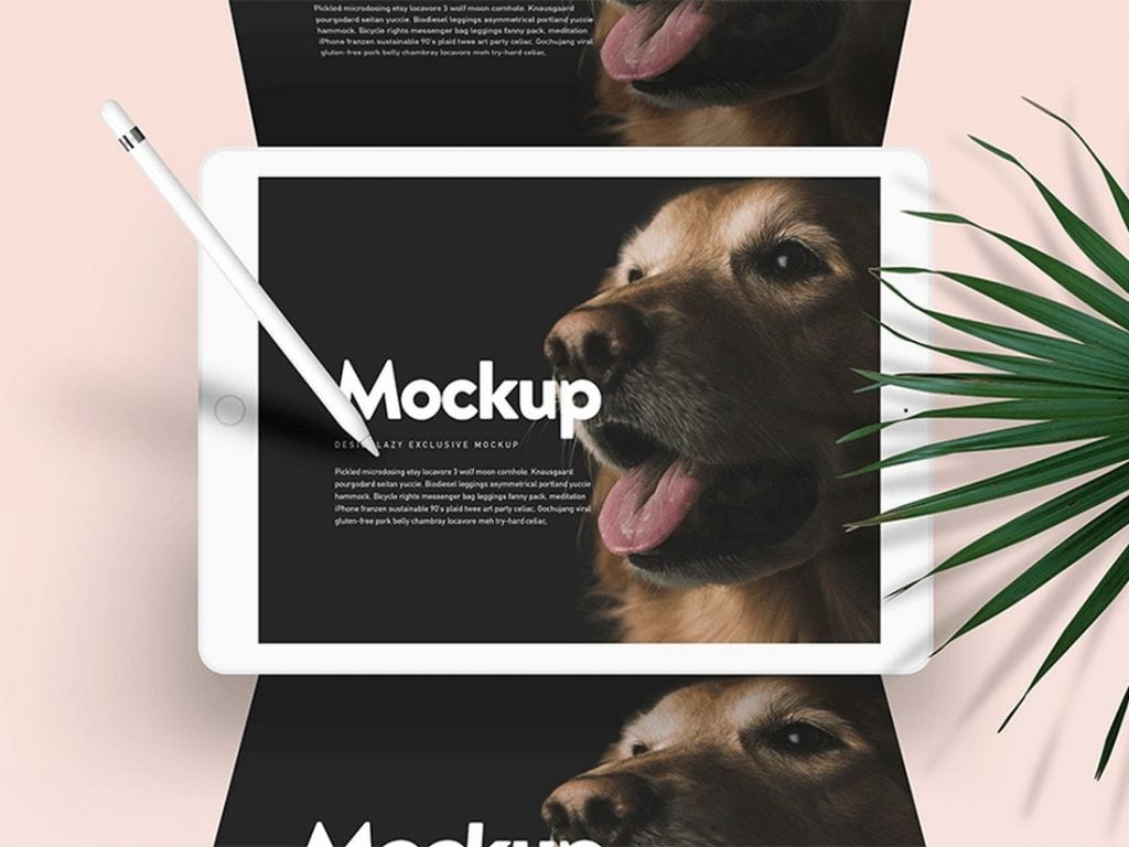 50+ iPad Mockup PSD & PNG Templates - Shack Design