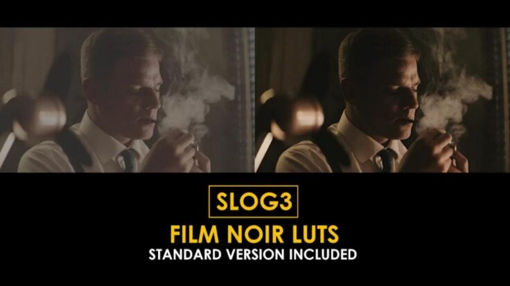20+ Film Luts (Film Look For DaVinci, Premiere Pro & More) - desainae.com