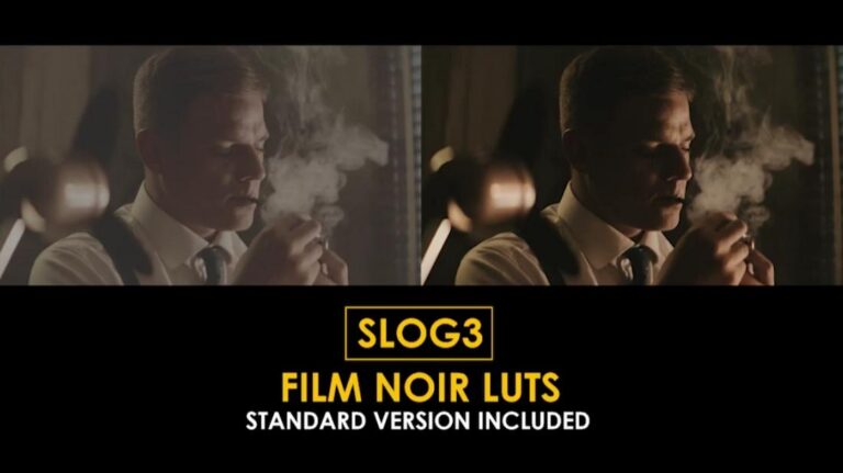 20+ Best Film LUTs (Film Look for DaVinci, Premiere Pro & More ...