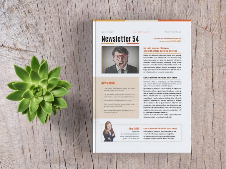 35+ Best InDesign Newsletter Templates (Free & Premium) | Design Shack