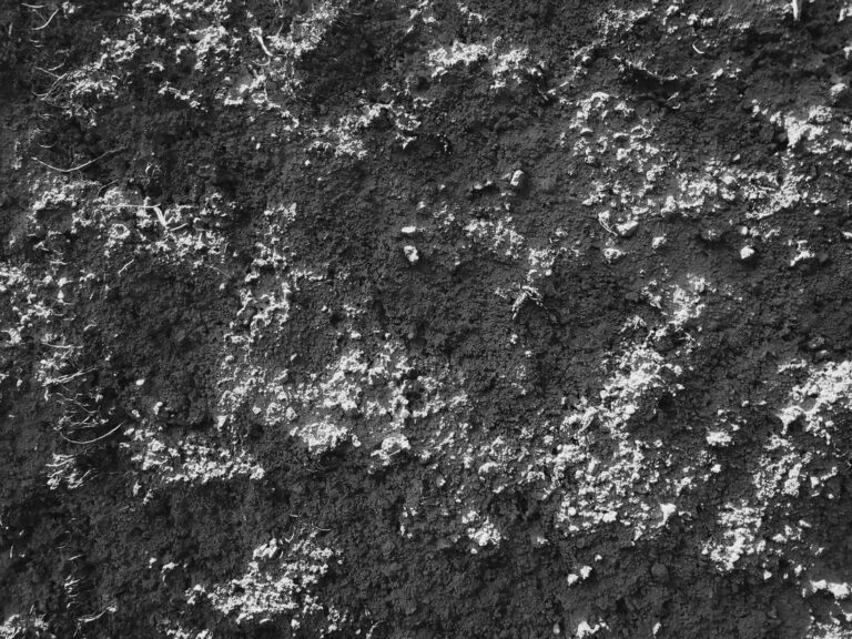 50+ Best Subtle Black & White Background Textures | Design Shack