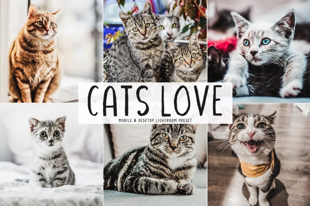 55+ Best Instagram Filters for Photoshop 2021 – Yes Web Designs
