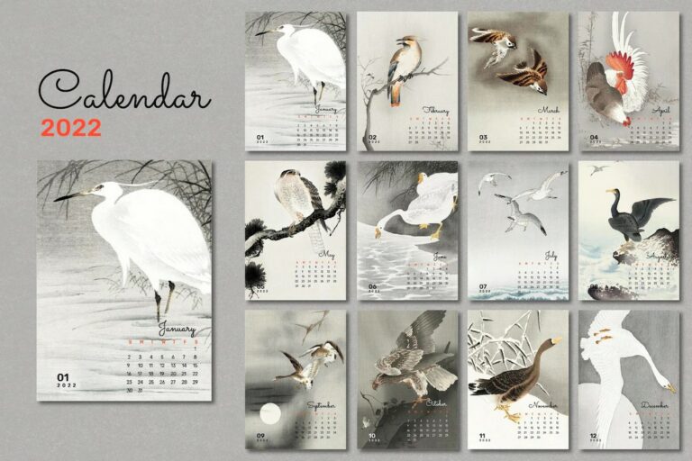 20+ Best InDesign Calendar Templates 2025 | Design Shack
