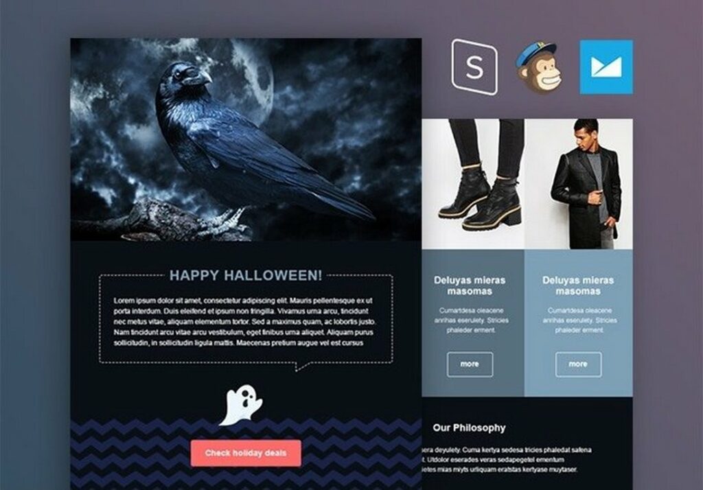 60+ Modern Responsive Email Templates 2025 | Design Shack