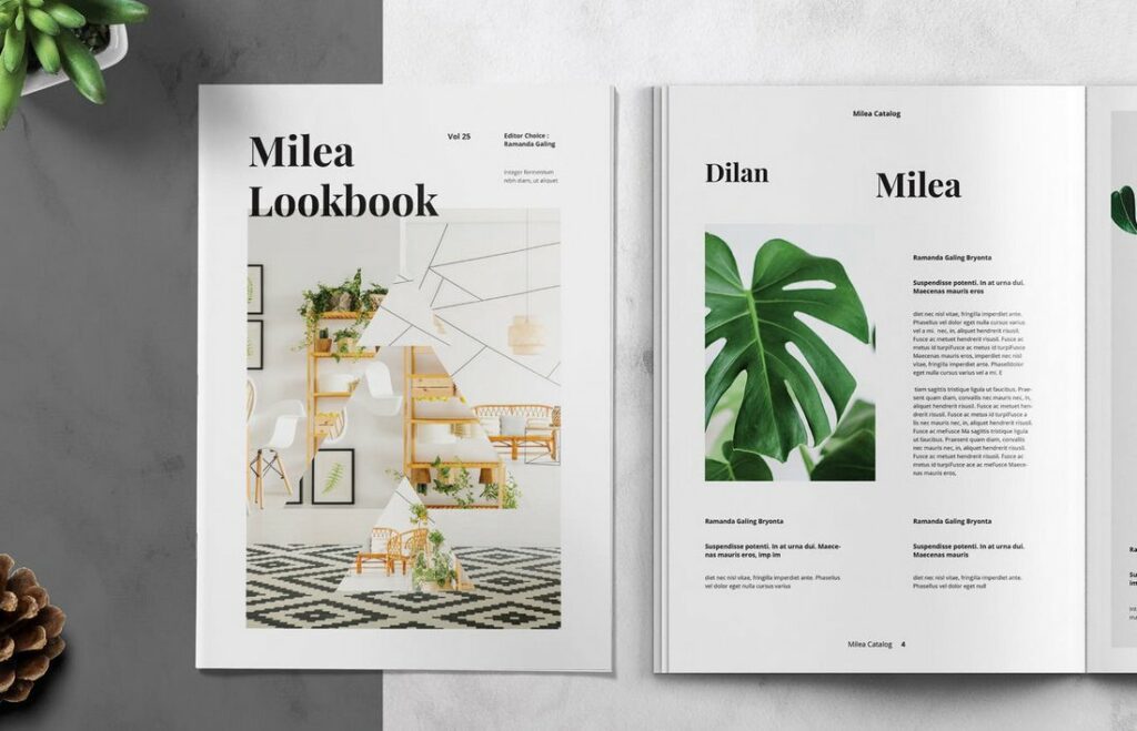 45+ Best Lookbook & Catalog Templates (Free & Premium) | Design Shack